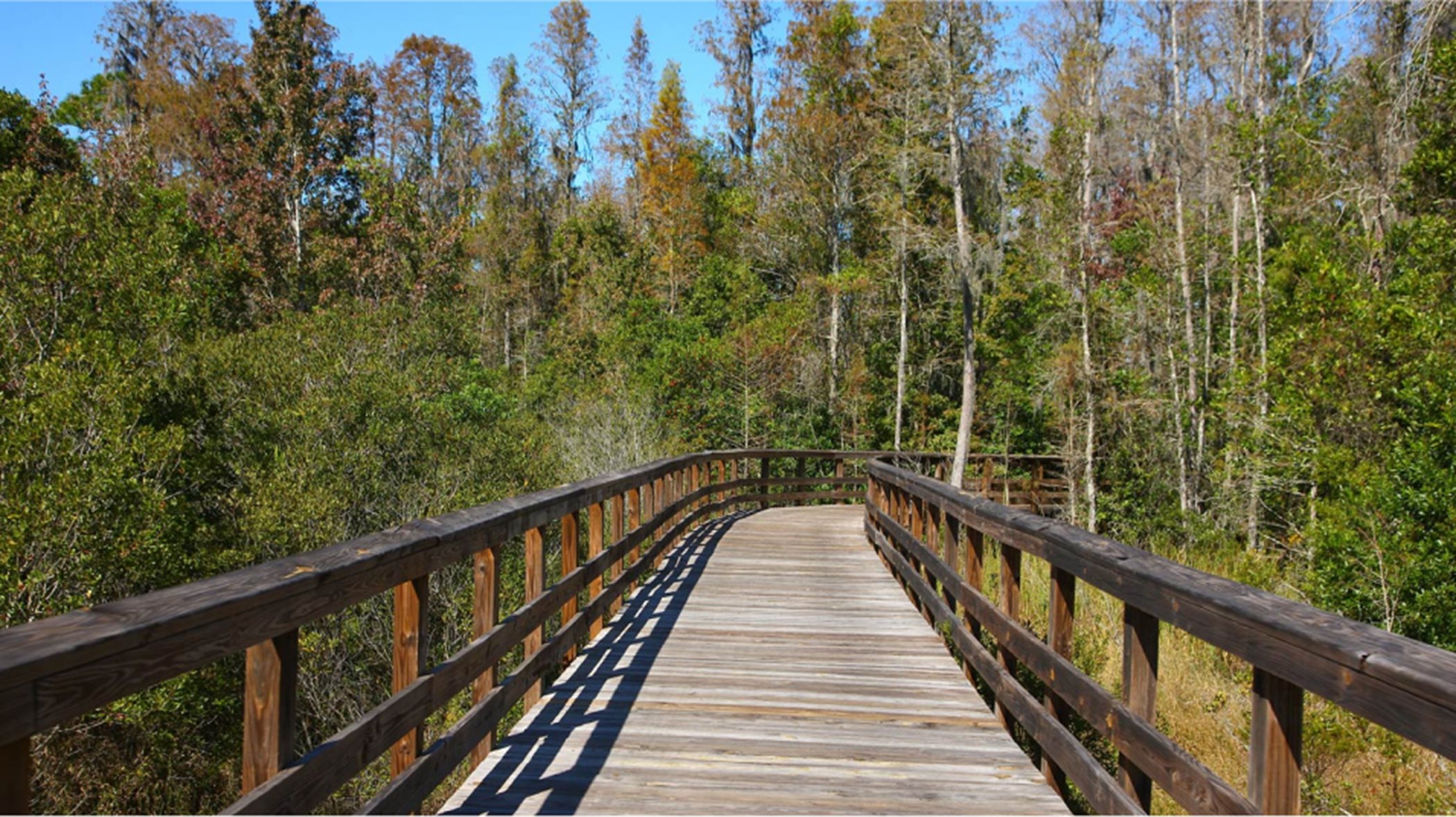 Connerton, Land O' Lakes, Lennar | Properties NEO