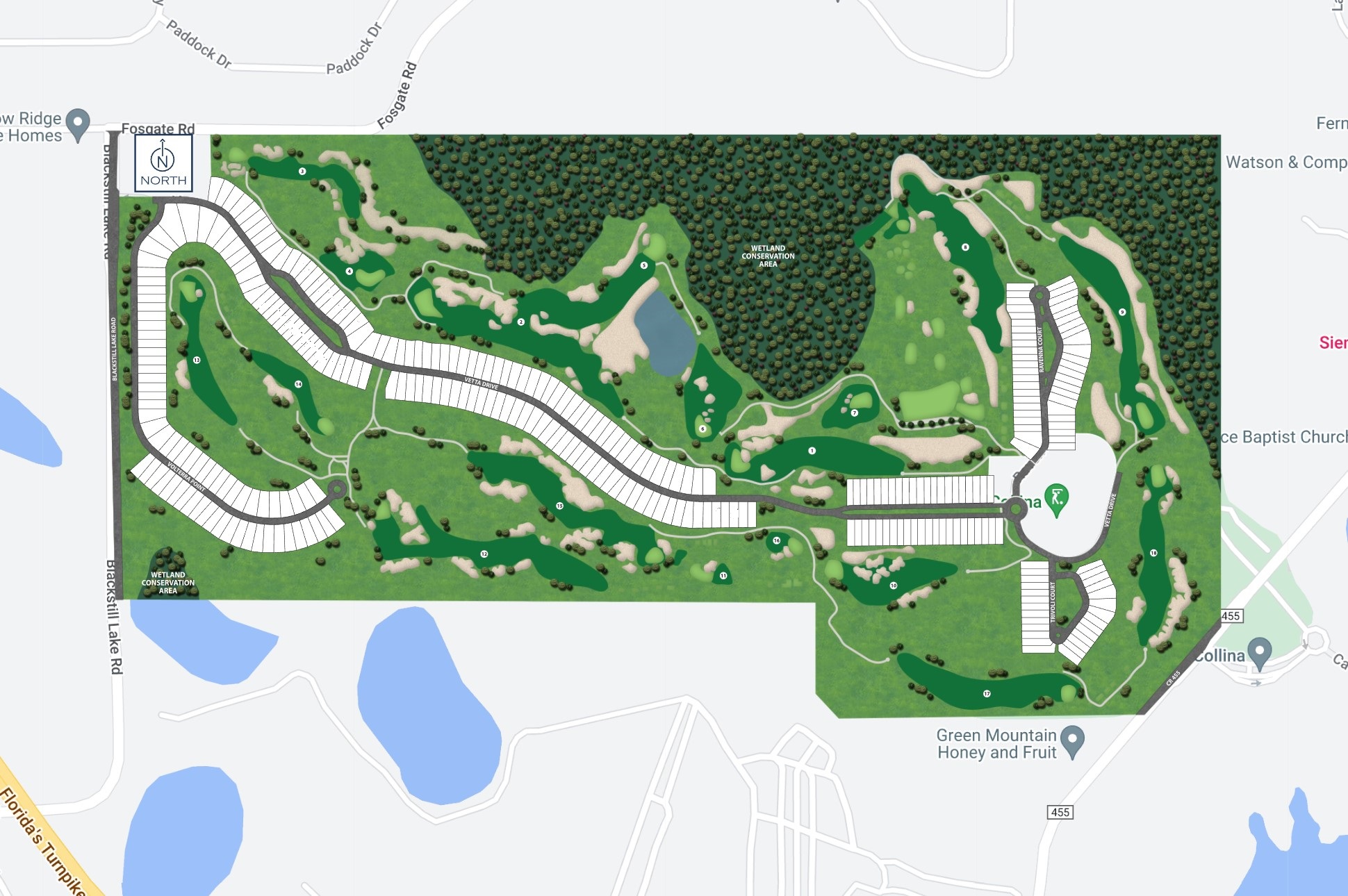 Bella Collina, Montverde, Dream Finders Homes | Properties NEO