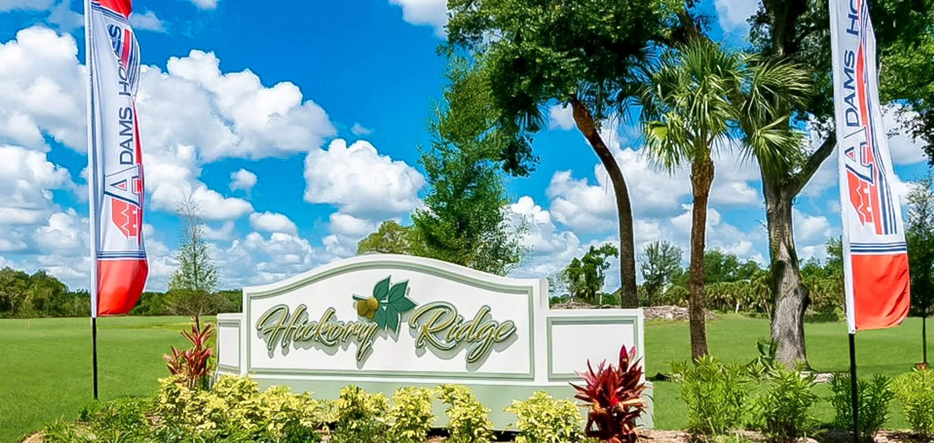 Hickory Ridge, Cocoa, Adams Homes | Properties NEO