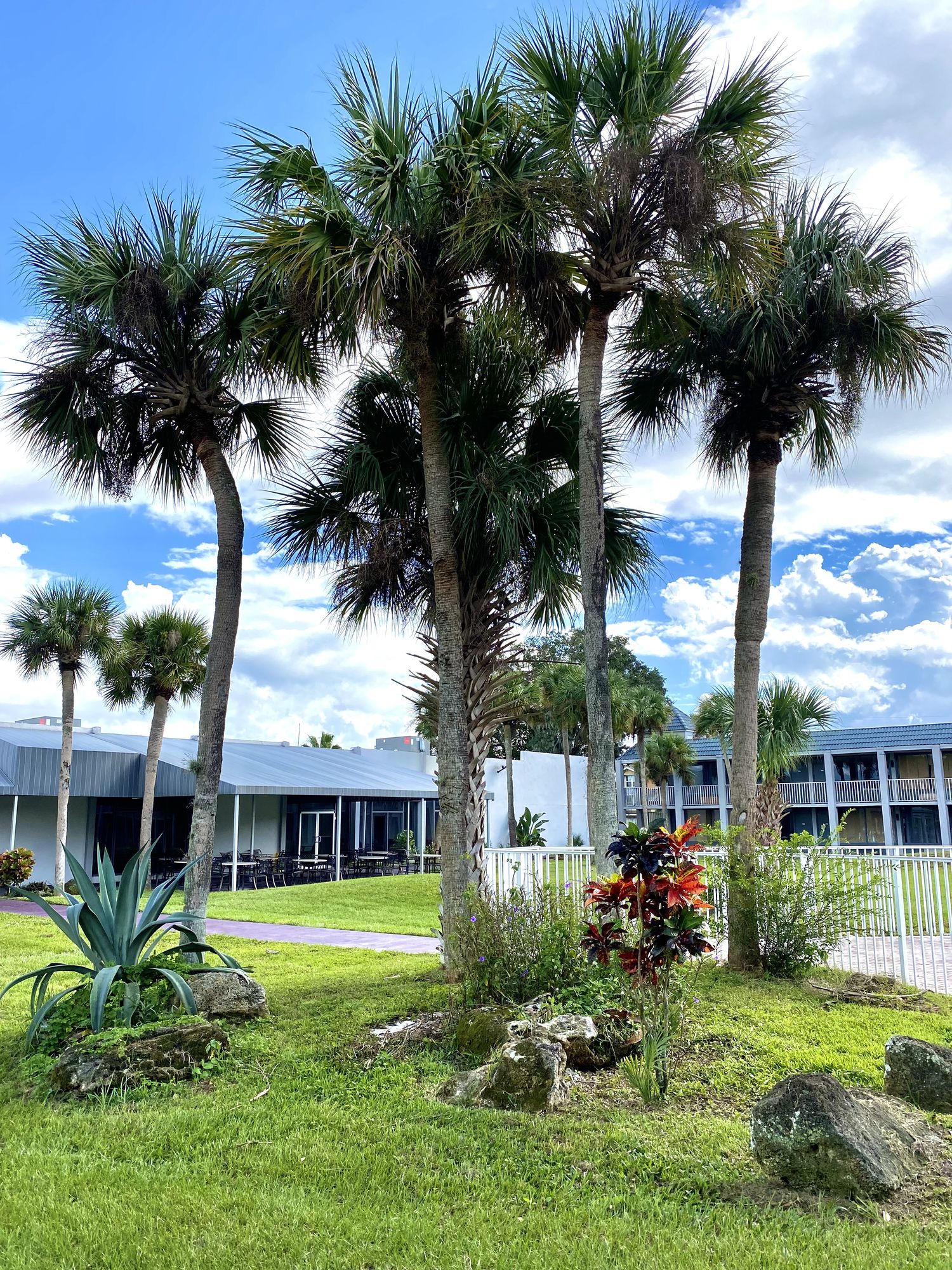 2050 Park Inn, Kissimmee, Stealth Management Group | Properties NEO