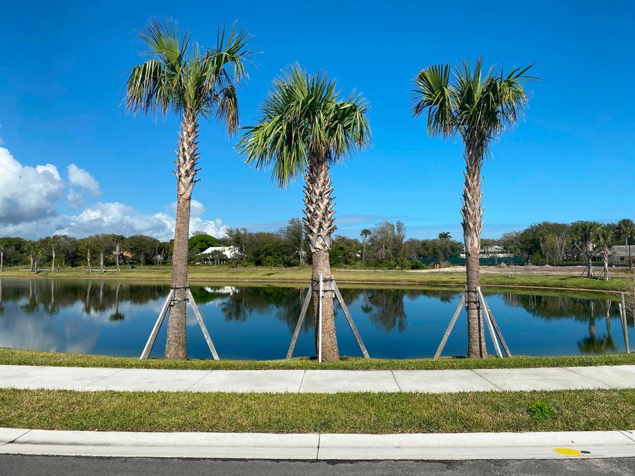 The Strand, Vero Beach, GHO Homes | Properties NEO