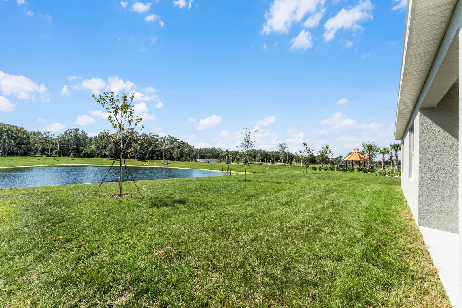 Harmony at Lake Eloise ( Tradition Series), Winter Haven, DR Horton | NEO