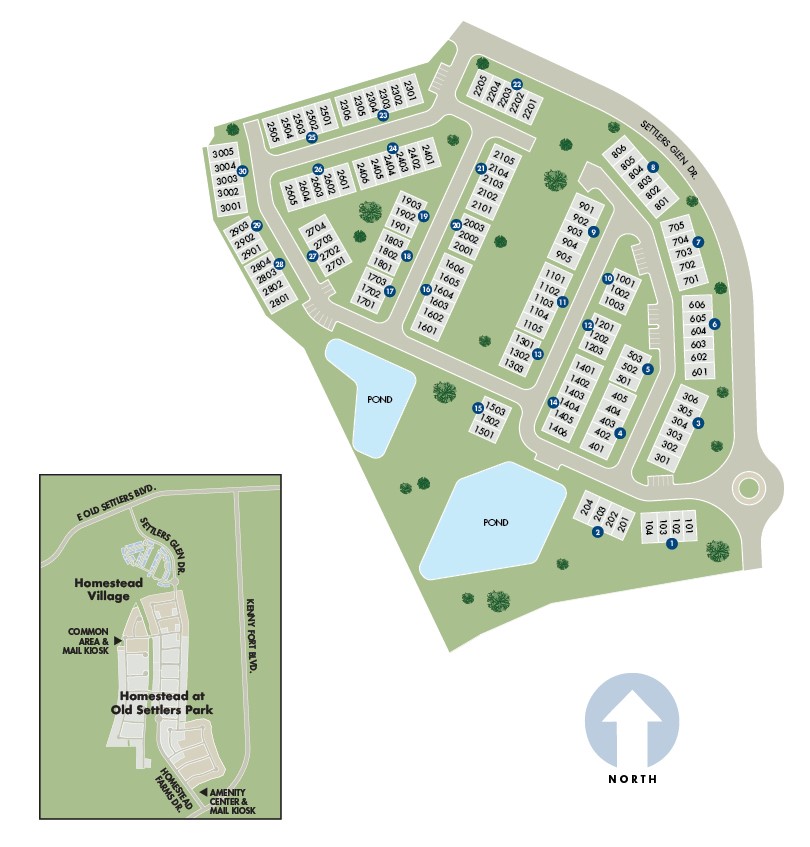 Homestead Village, Round Rock, Meritage Homes | Properties NEO