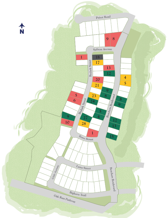 Veramendi 60', New Braunfels, David Weekley Homes | Properties NEO