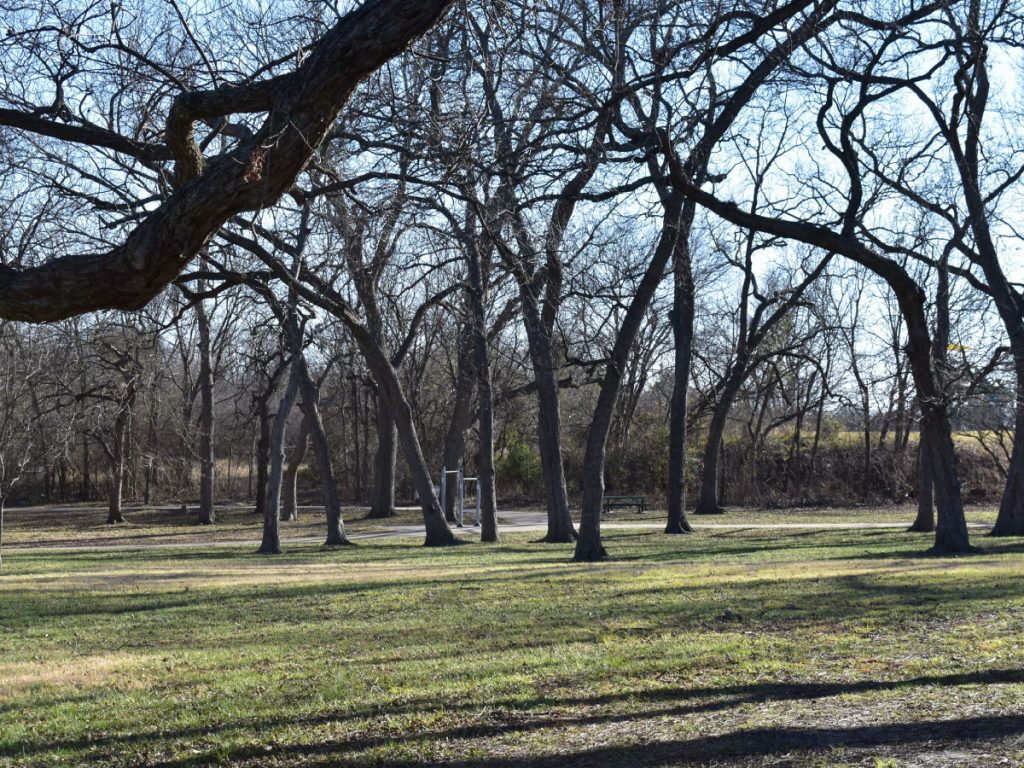 Lake Park, Rowlett, Landon Homes | Properties NEO