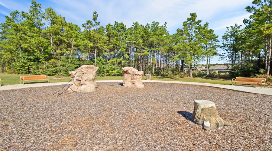 Porters Mill, Roman Forest, DR Horton | Properties NEO