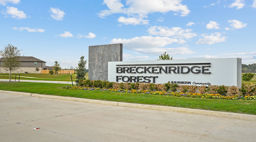 Breckenridge Forest, Spring, DR Horton | Properties NEO