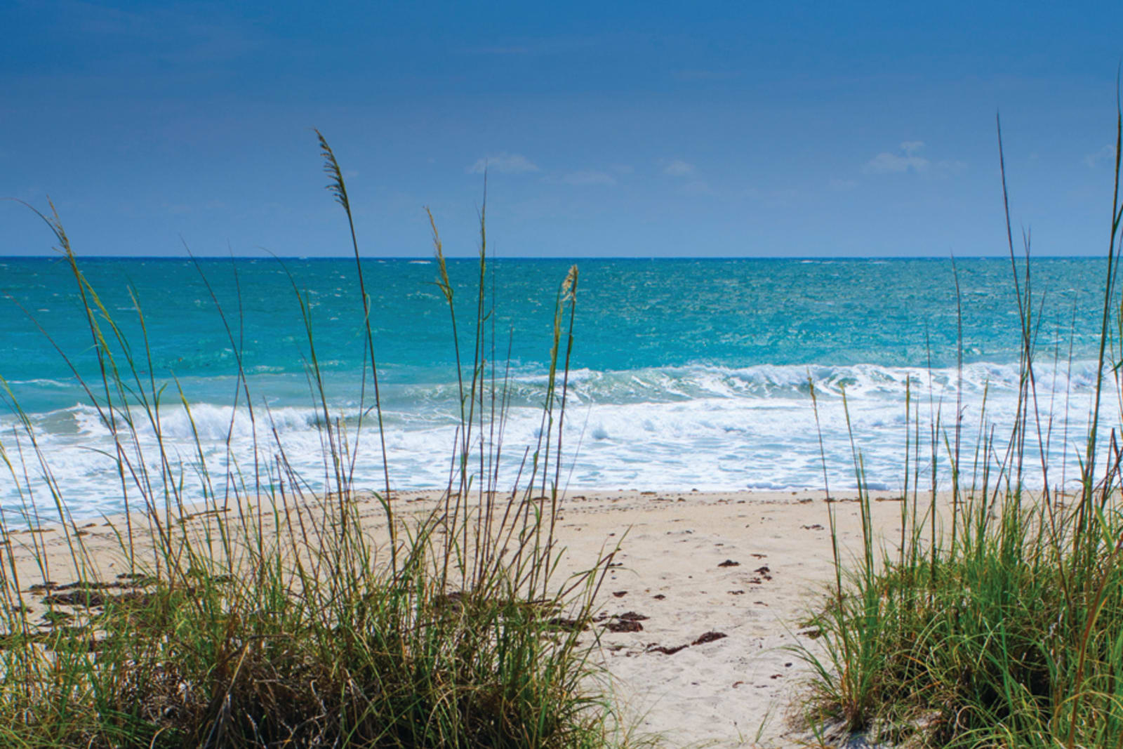 Copperleaf, Palm City, Pulte Homes | Properties NEO