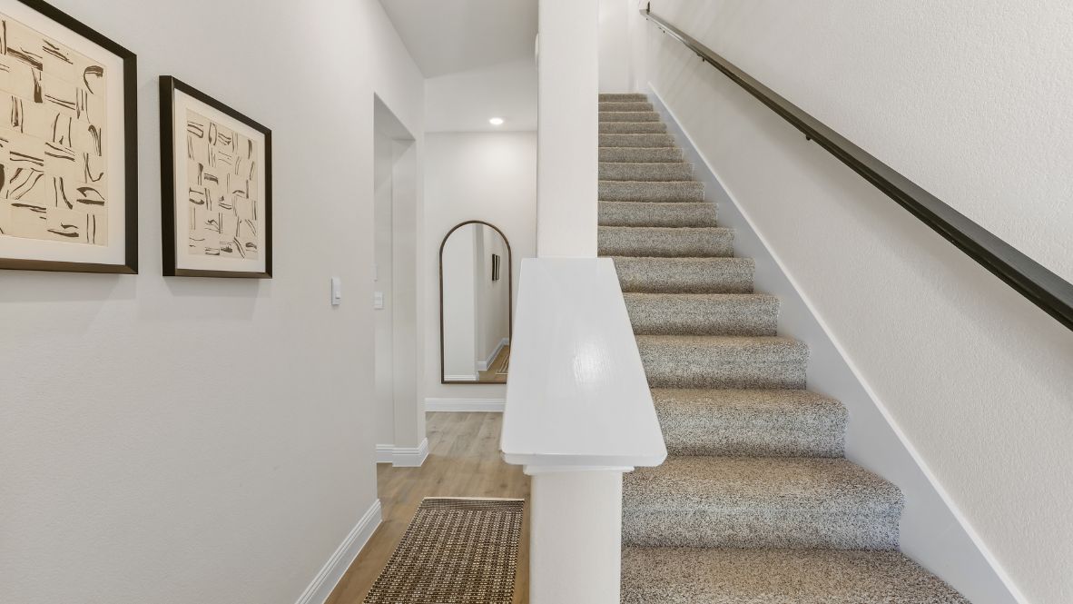 Mustang Square, Plano, DR Horton | Properties NEO